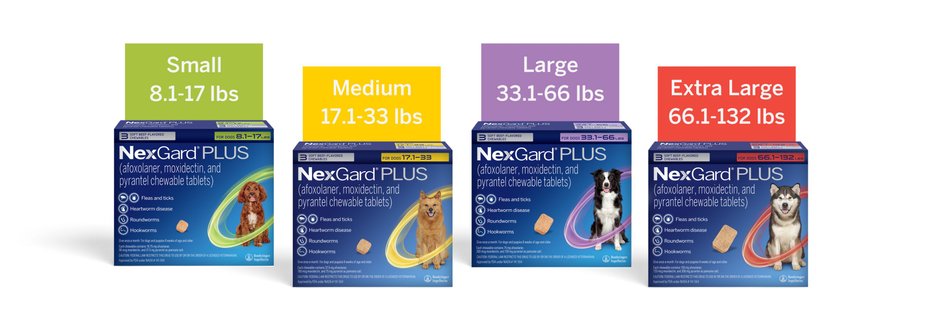 NEXGARD PLUS Chew for Dogs, 17.1-33 lbs. (Gold Box) 1 Chew (1-mo ...