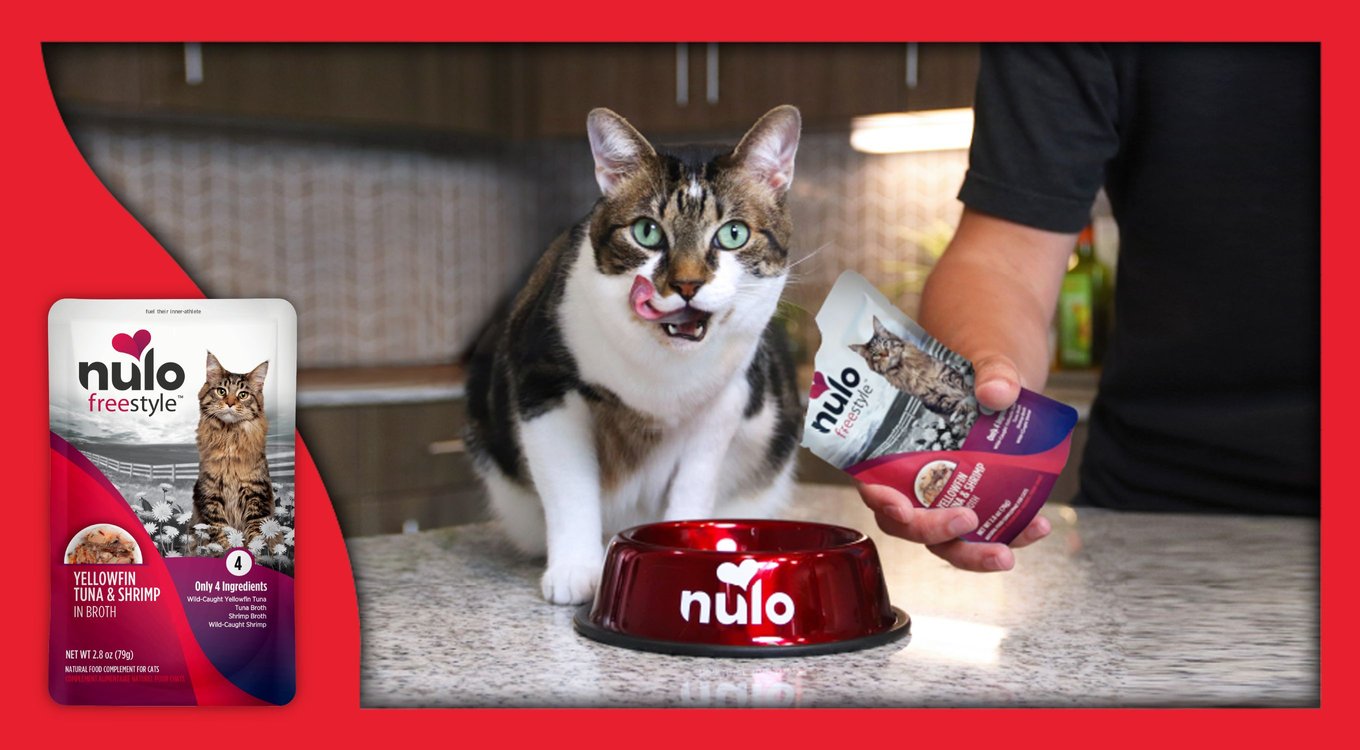 NULO Shredded Turkey & Halibut in Gravy Grain-Free Canned Cat Food, 3 ...