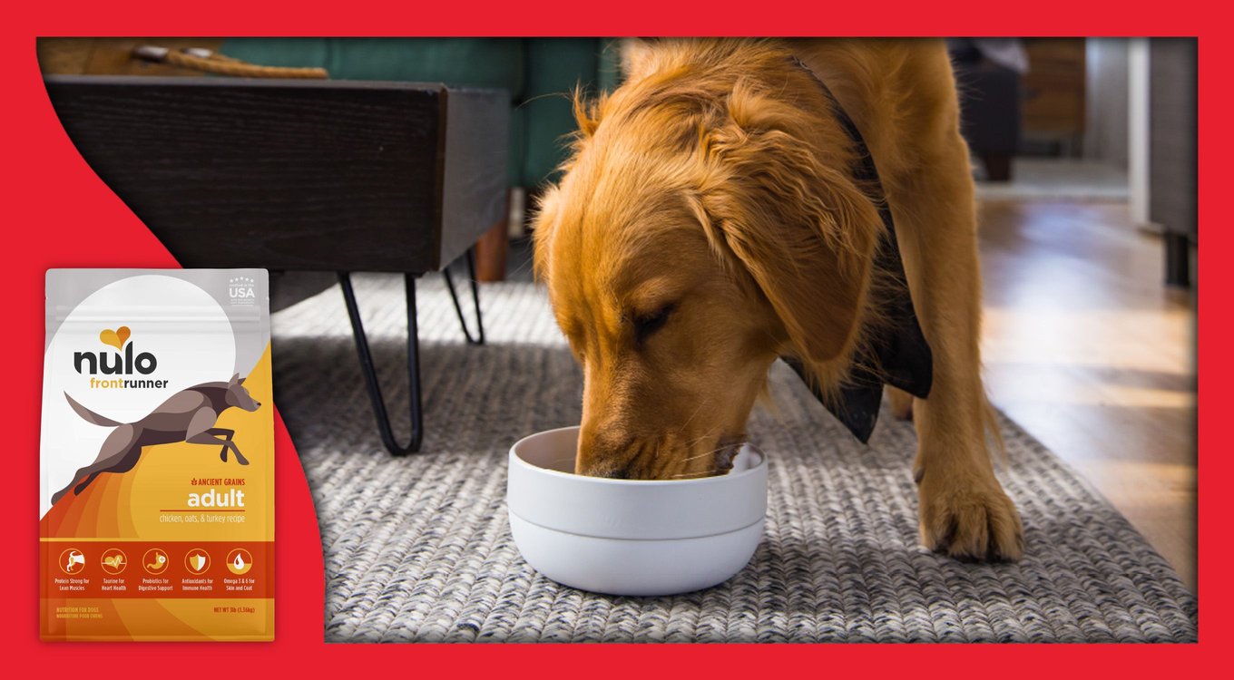 NULO Frontrunner Ancient Grains Chicken, Oats & Turkey Puppy Dry Dog ...