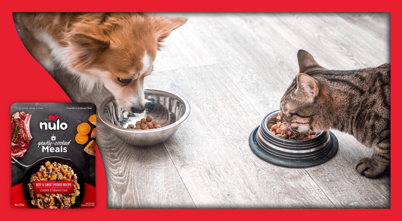 NULO Freestyle Beef Recipe with Apples Grain-Free Freeze-Dried Raw Dog ...