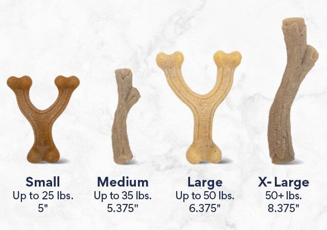 NYLABONE Gourmet Style Strong Chew Wishbone Dog Chew Toy, Large - Chewy.com