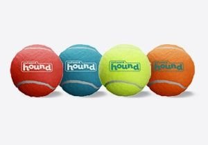 OUTWARD HOUND Puzzle Cube Interactive Dog Toy - Chewy.com