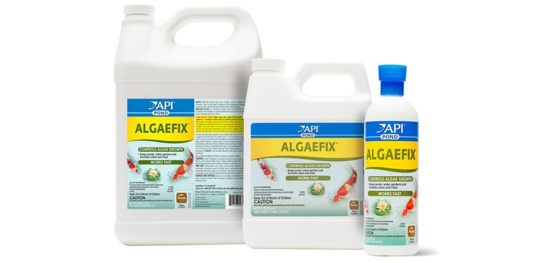 API Pond Algaefix Algae Control Solution, 8-fl oz bottle - Chewy.com