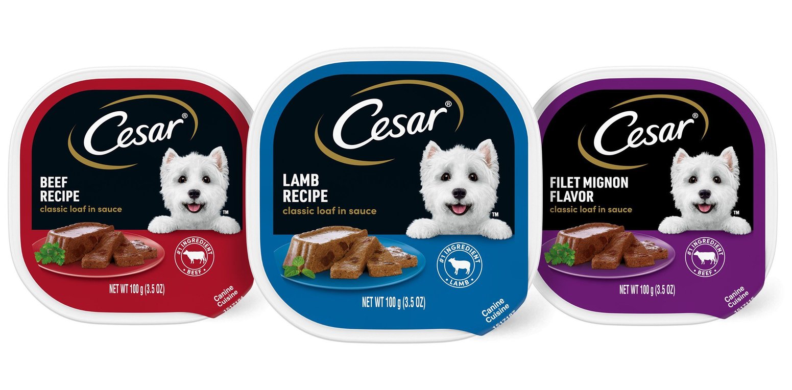 CESAR Puppy Classic Loaf in Sauce Chicken & Beef Recipe Small Breed Wet ...