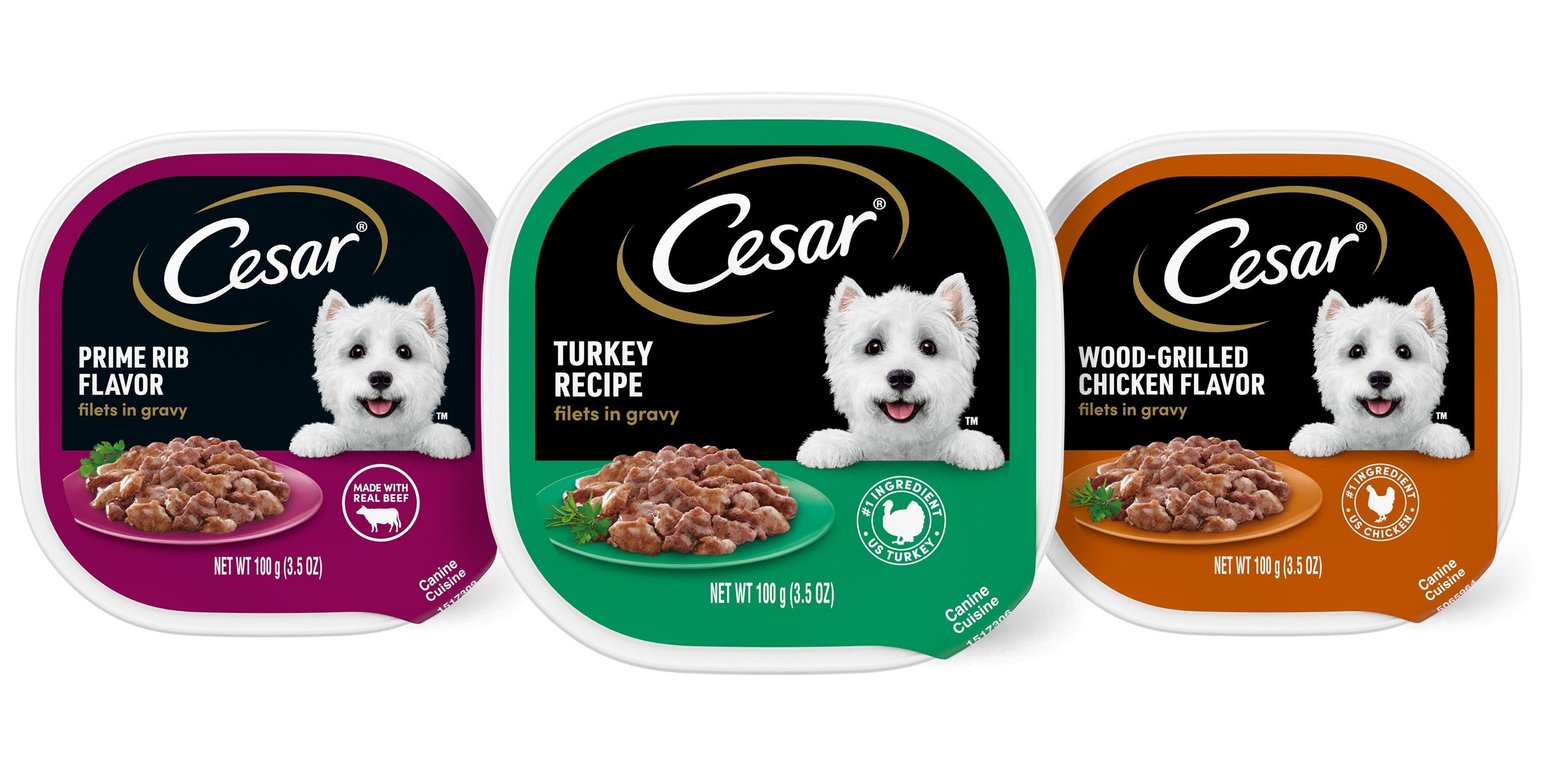 CESAR Rotisserie Chicken Flavor Filets in Gravy Small Breed Adult Wet ...
