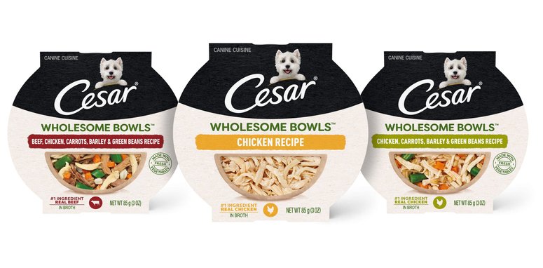 CESAR Wholesome Bowls Chicken Recipe Wet Dog Food, 3-oz tray, case of ...