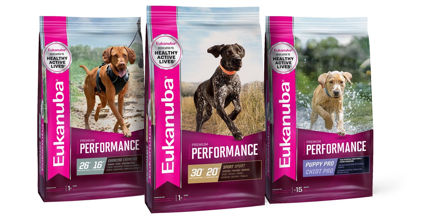 EUKANUBA Premium Performance Puppy Pro Dry Dog Food, 4-lb bag - Chewy.com