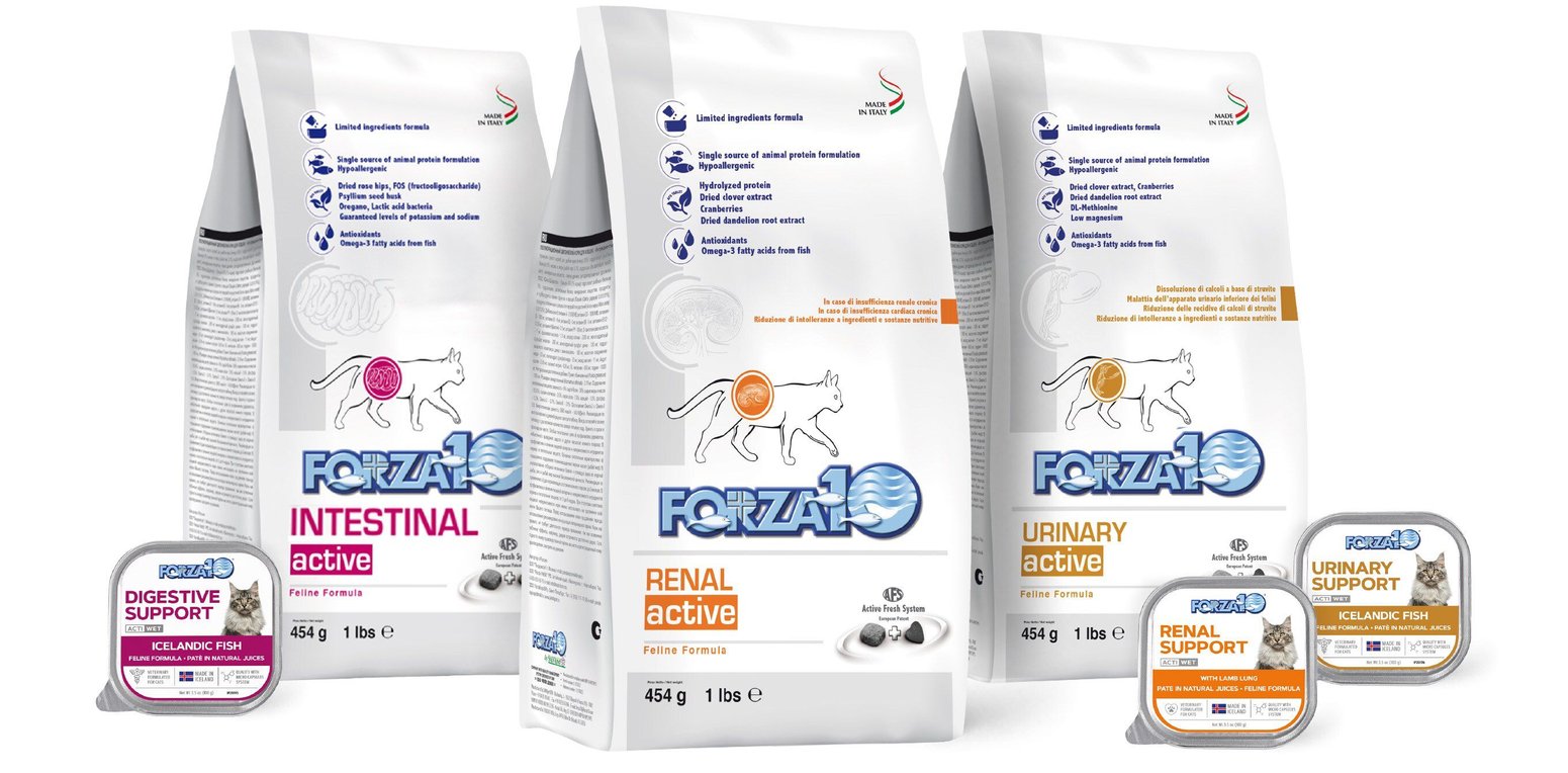 Discontinued - FORZA10 Nutraceutic Active Line Dermo Dry Cat Food, 4-lb bag - Chewy.com