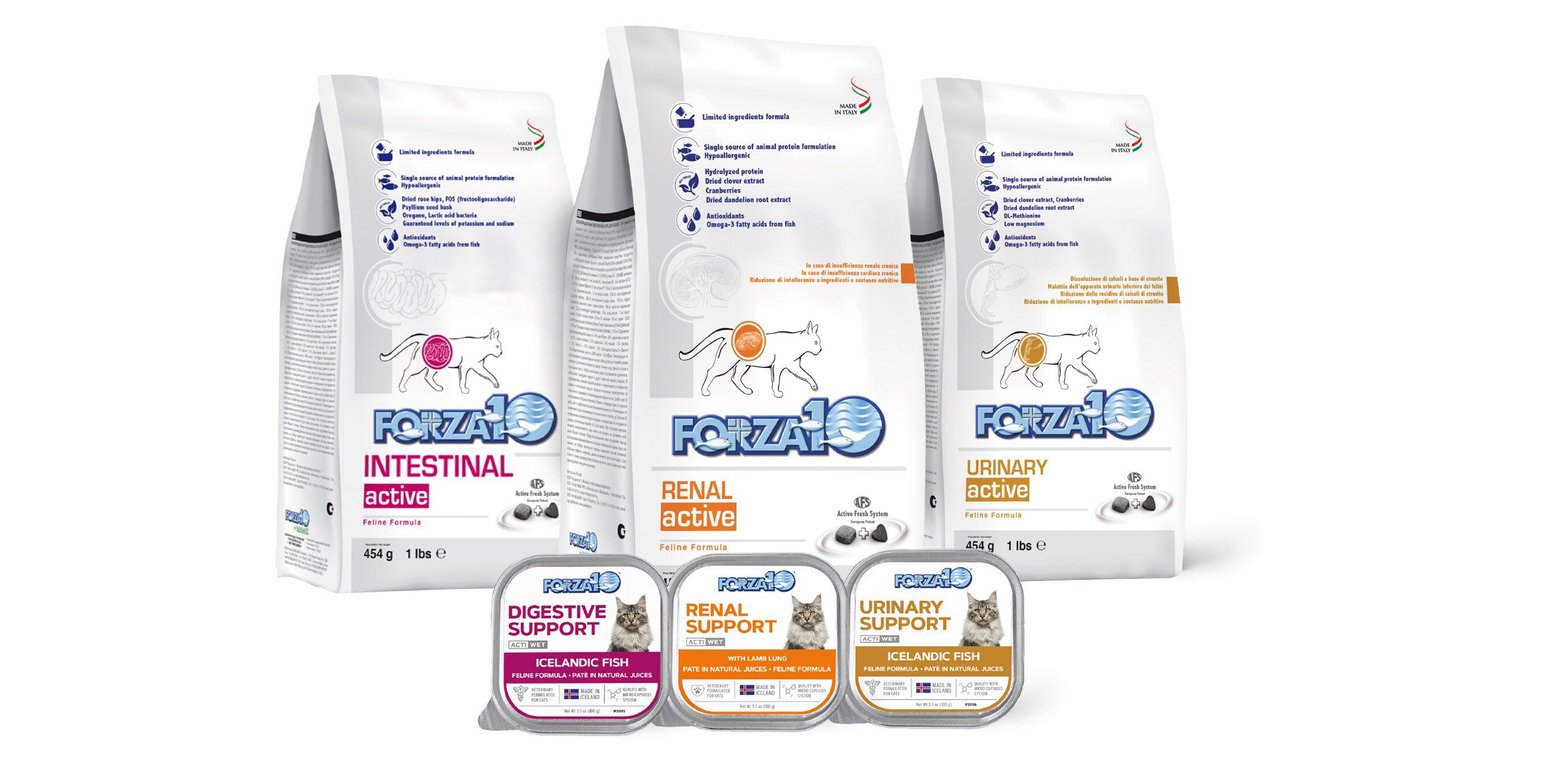 FORZA10 Actiwet Renal Support Wet Cat Food, 3.5-oz, case of 12 - Chewy.com