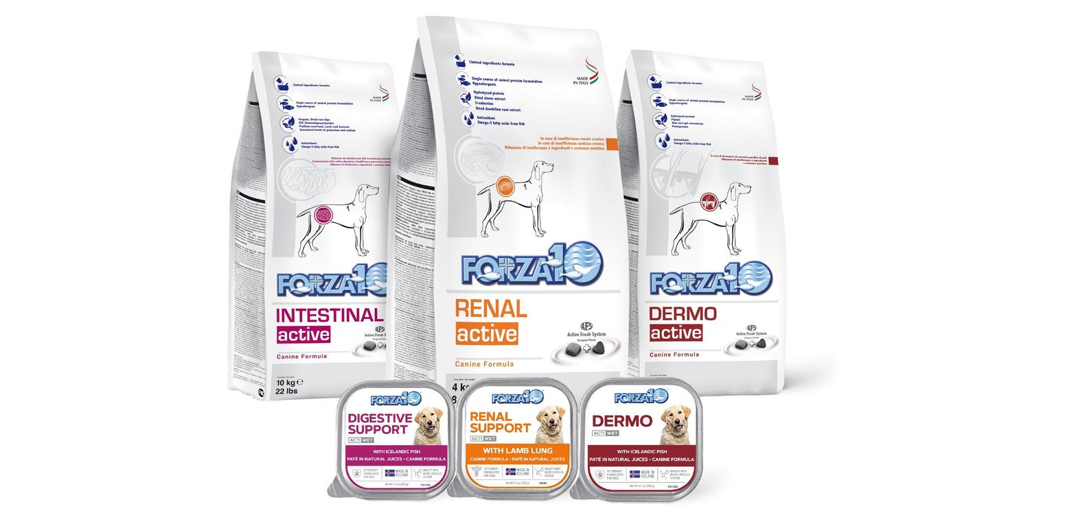 FORZA10 Nutraceutic Actiwet Renal Support Wet Dog Food, 3.5-oz, case of 32 - Chewy.com