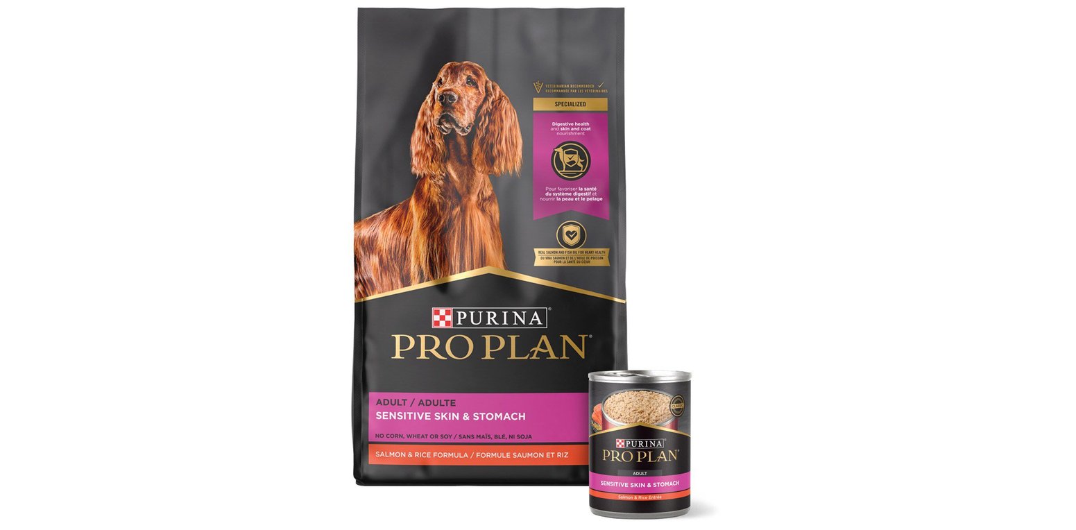 PURINA PRO PLAN Small Breed Adult Sensitive Skin & Stomach Formula Dry ...