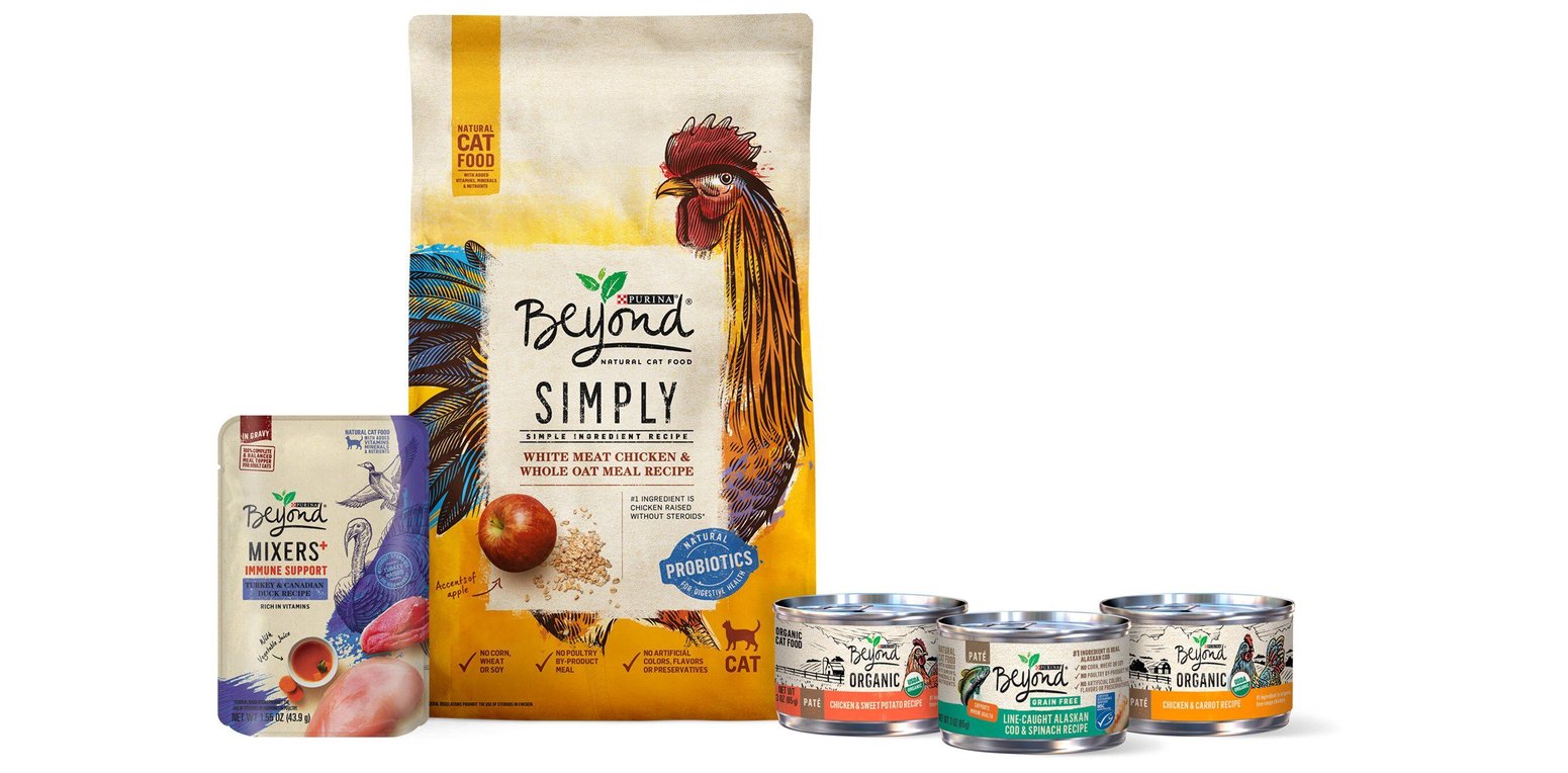 PURINA BEYOND White Meat Chicken & Egg Recipe Grain-Free Natural Dry ...