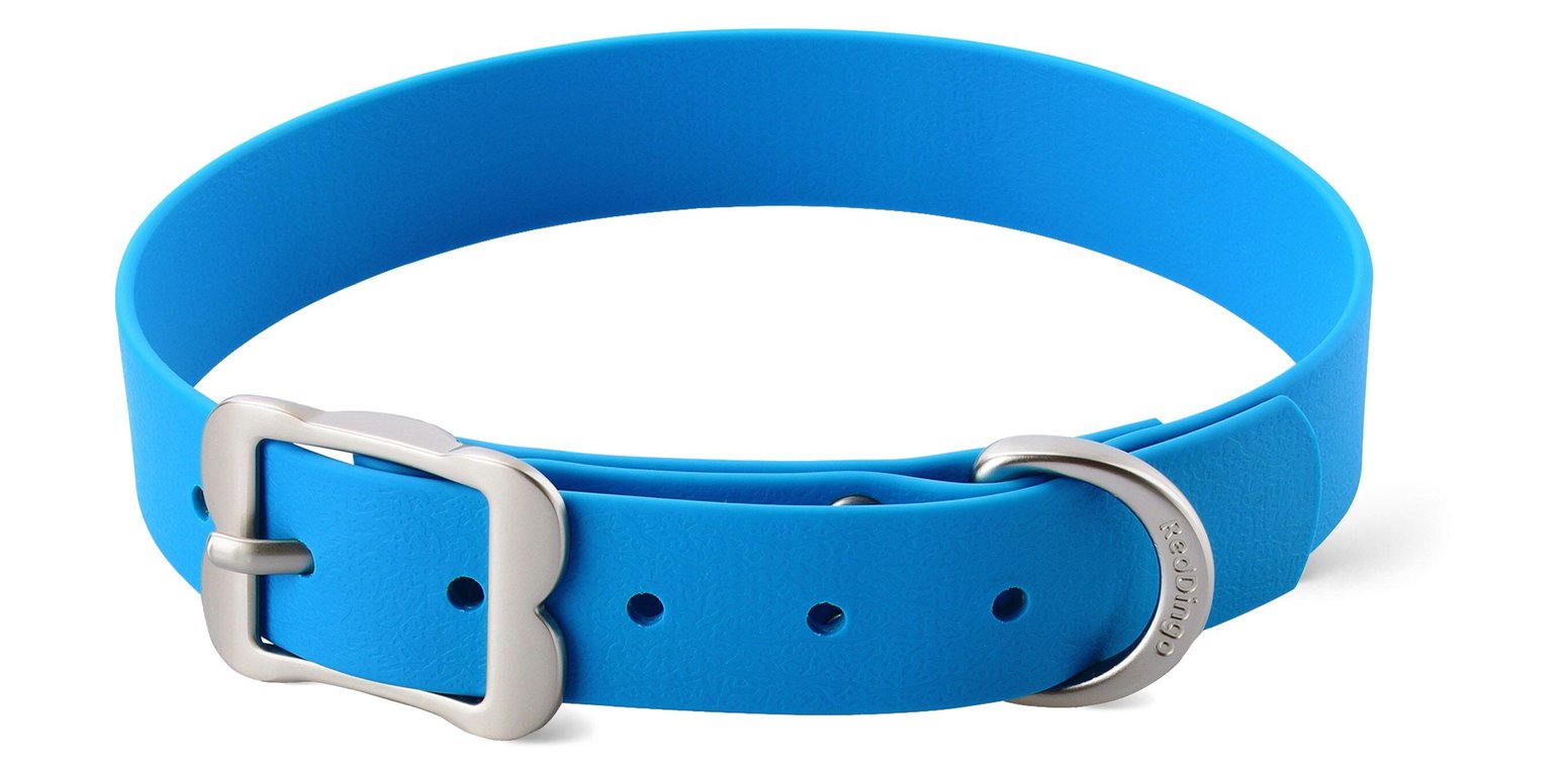 RED DINGO Vivid PVC Dog Collar, Orange, XX-Large: 22 to 26-in neck, 1 ...