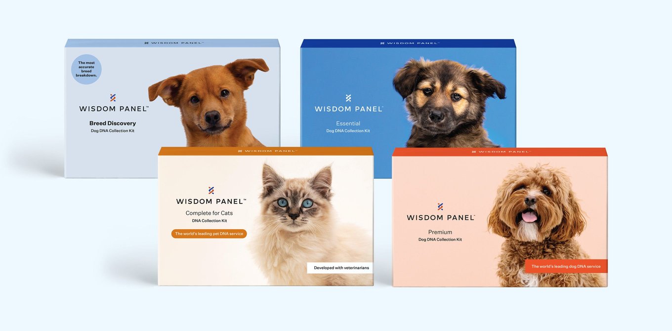 WISDOM PANEL Essential Breed Identification DNA Test for Dogs - Chewy.com