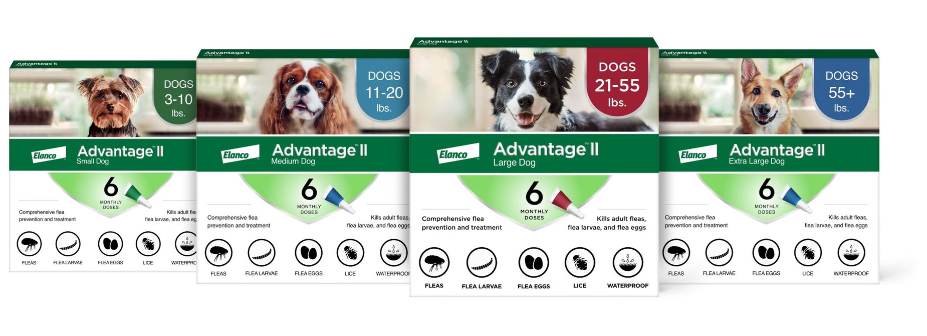 ADVANTAGE II Flea Treatment for Dogs, 21-55 lbs, 6 Doses (6-mos. supply ...