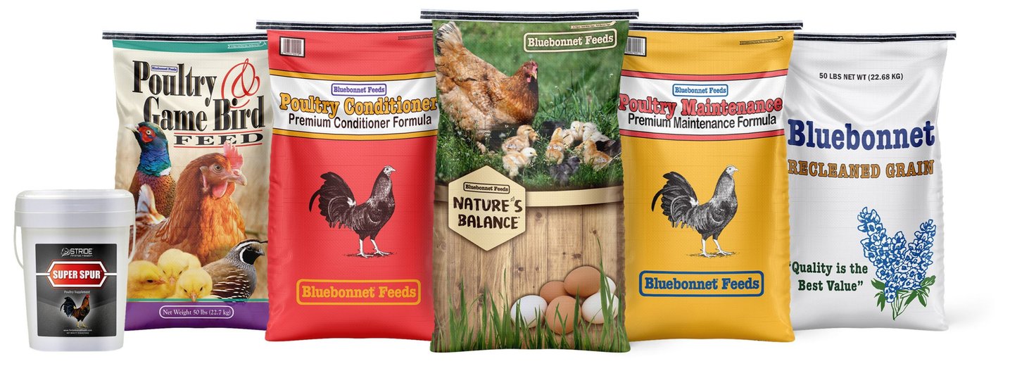 BLUEBONNET FEEDS Game Bird Breeder 20% Protein Nibblet Bird Food, 50-lb ...
