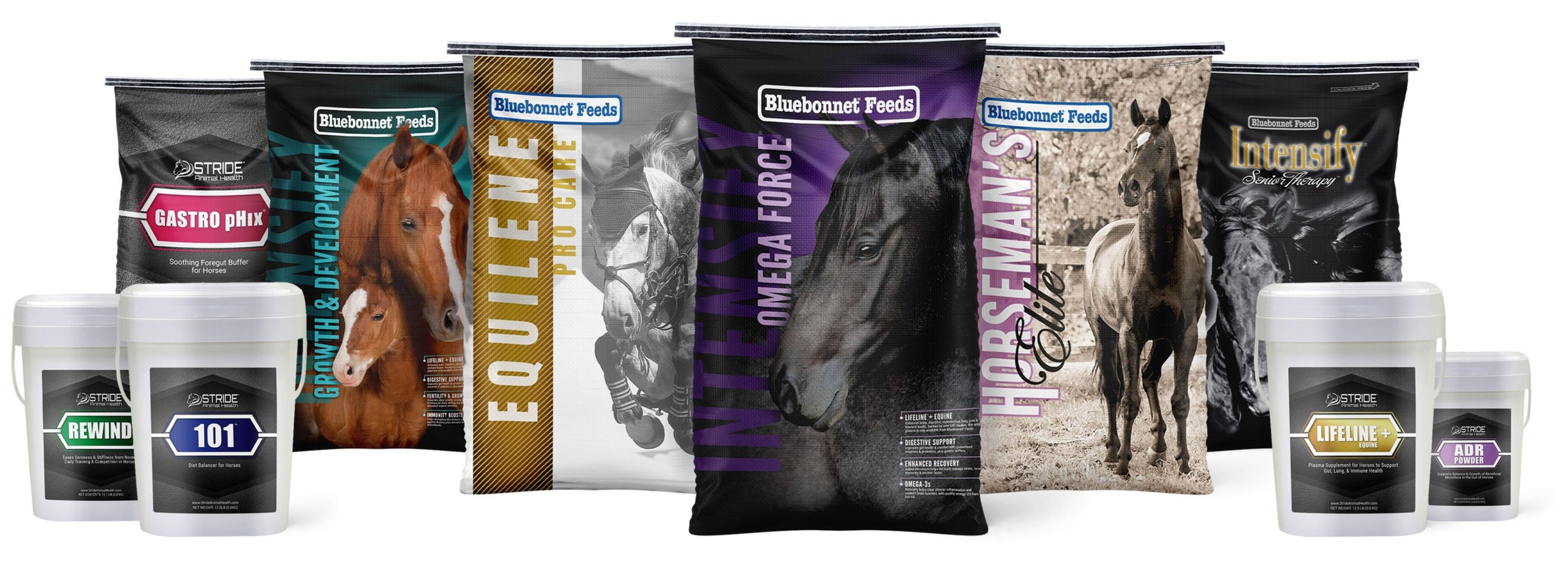 BLUEBONNET FEEDS Limited Ingredient Forage Balancer Horse Feed, 44-lb ...