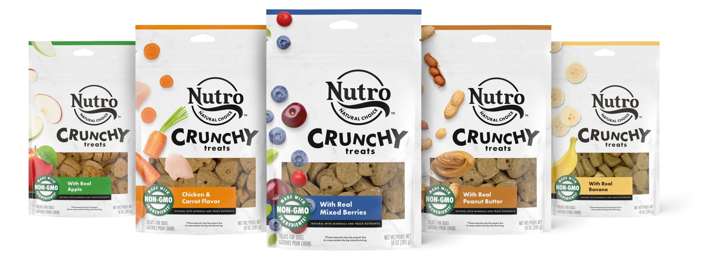 NUTRO Crunchy with Real Mixed Berries Dog Treats, 10-oz bag - Chewy.com