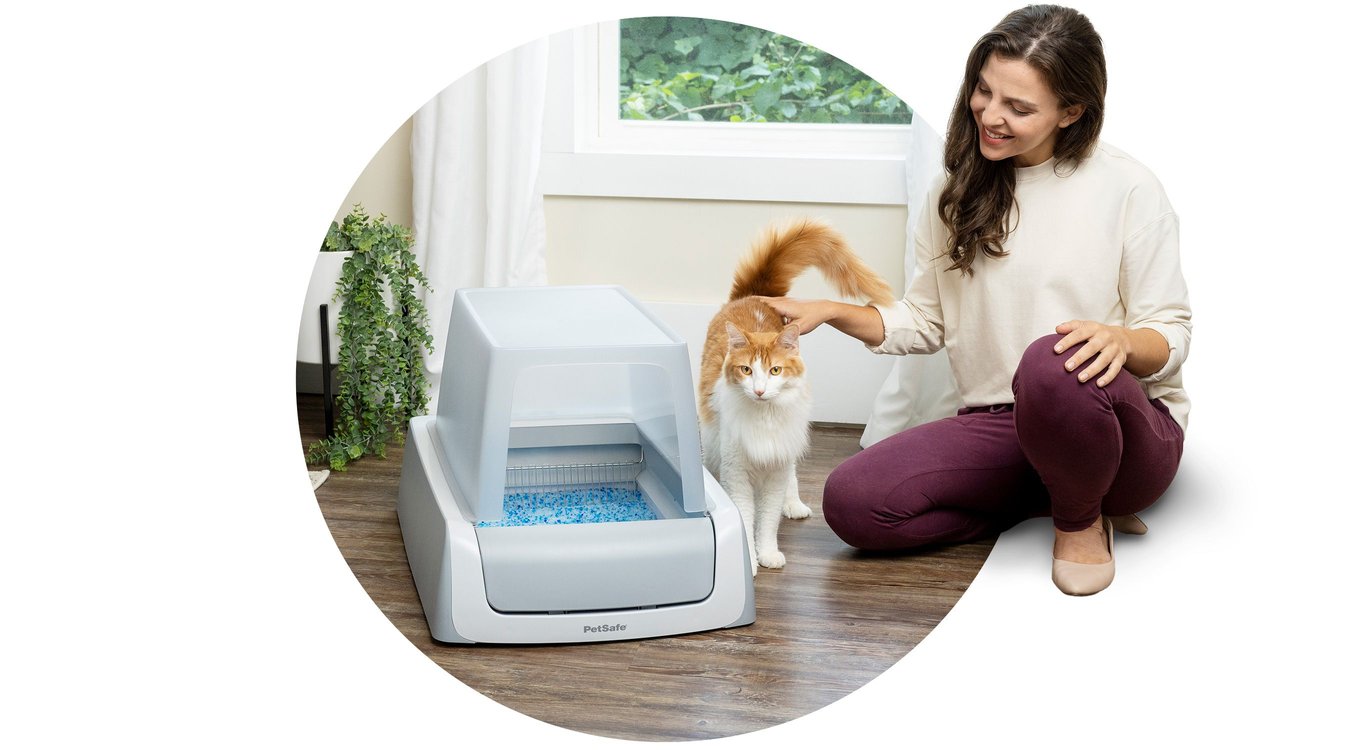 PETSAFE ScoopFree Complete Reusable Cat Litter Tray - Chewy.com