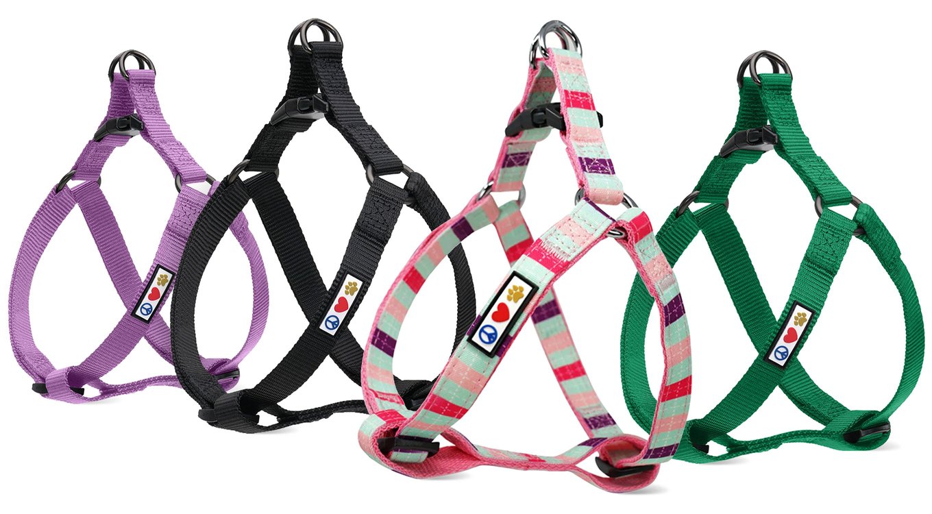 PAWTITAS Recycled Reflective Dog Harness, Coral, Large - Chewy.com