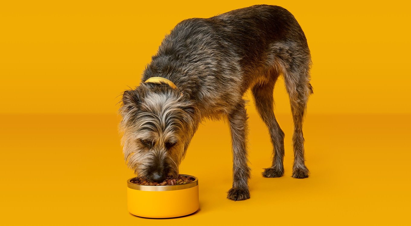 PEDIGREE Complete Nutrition Roasted Chicken & Vegetable Flavor Dog ...