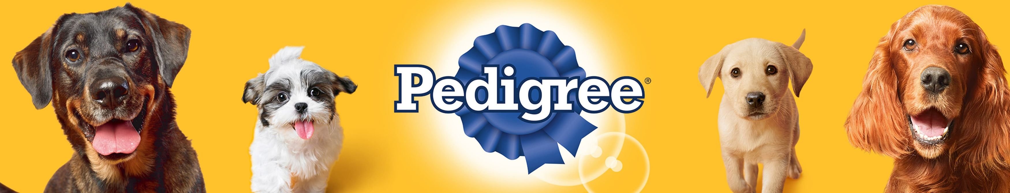 PEDIGREE Mini Marrobone Real Beef Flavor Biscuit Dog Treats, 15-oz bag ...