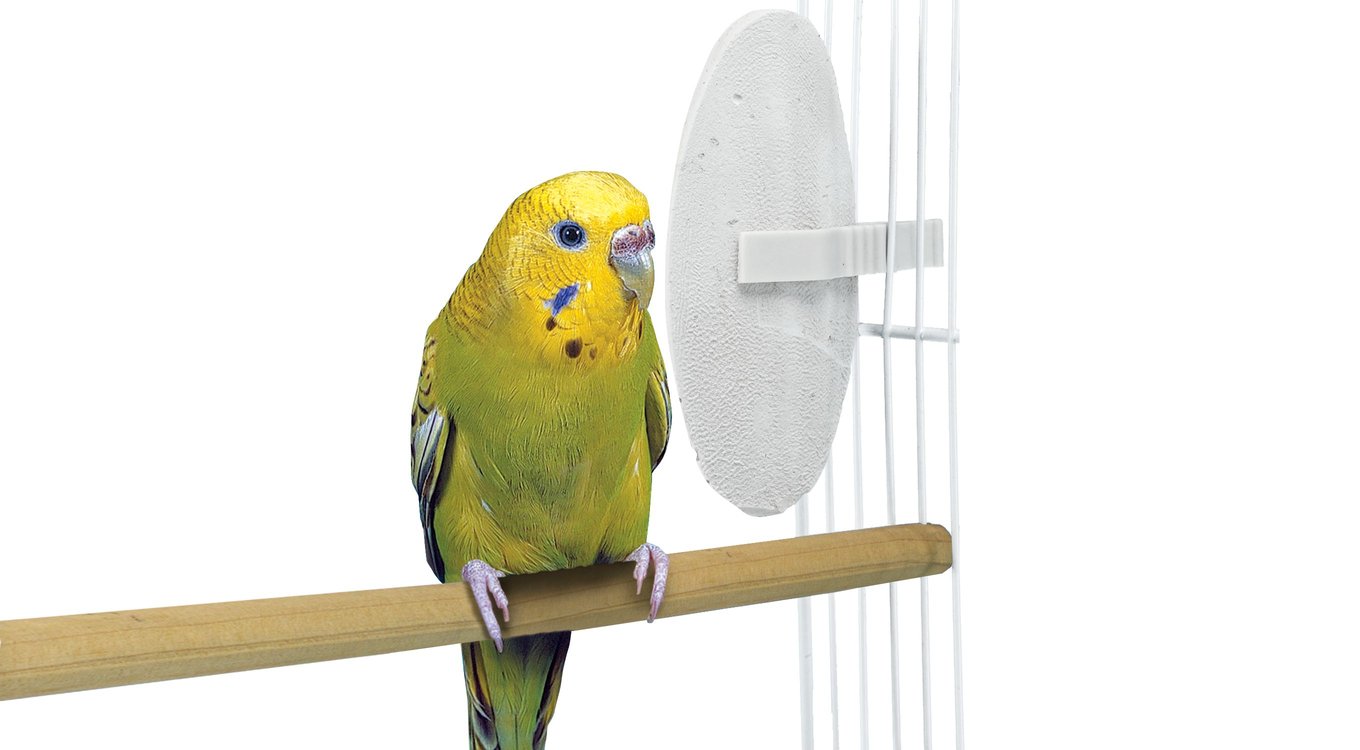 PENN-PLAX Bird-Life Natural E Cuttlebones Bird Supplement, 2 count ...