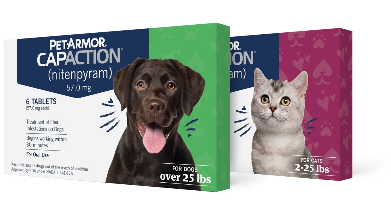 PETARMOR CapAction Flea Tablets for Cats, 6 Tablets - Chewy.com