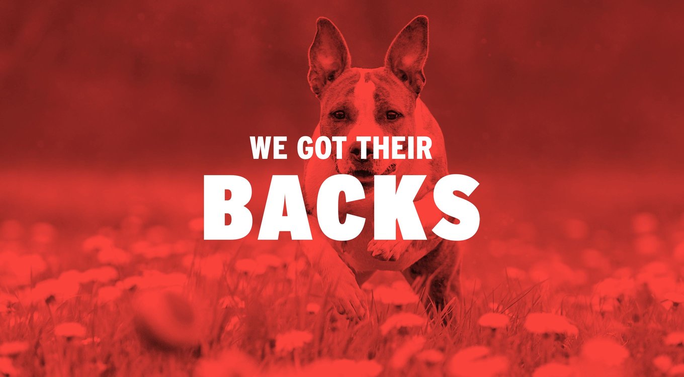 PET PROTECT Free Form Omega-3 Fish Oil Snip Tip Capsule Supplements for ...