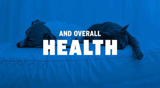 PET PROTECT Free Form Omega-3 Fish Oil Snip Tip Capsule Supplements for ...