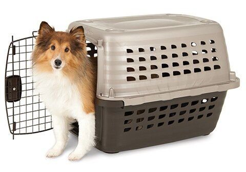 Petmate Sky Dog & Cat Kennel | Chewy (Free Shipping)
