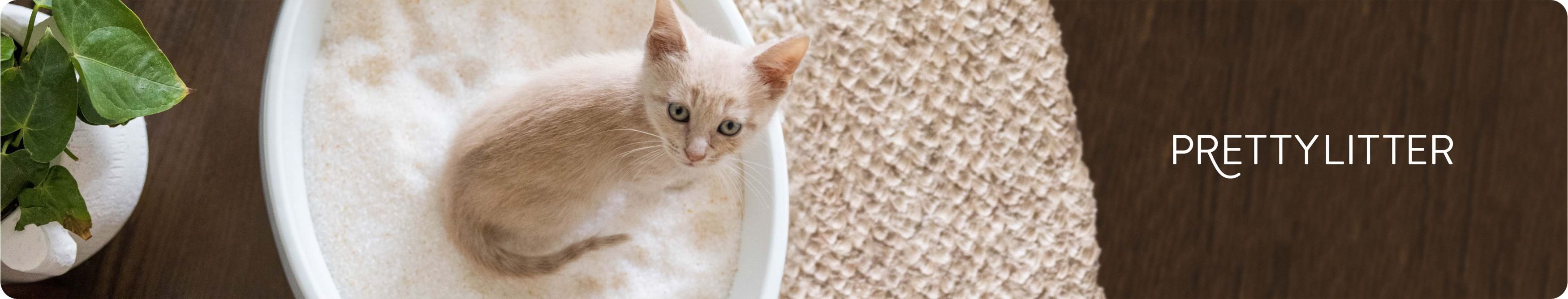 PRETTYLITTER Health Monitoring Cat Litter, 8-lb bag - Chewy.com