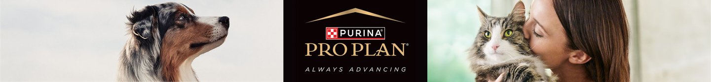 Purina Pro Plan: Low Prices, Free Shipping | Chewy