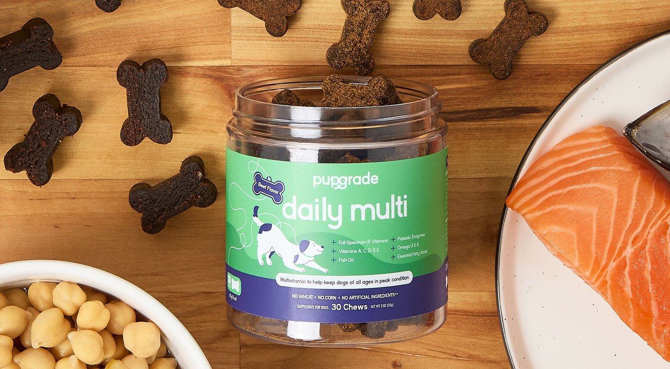 PUPGRADE Joint Support Supplement for Dogs, 60 count - Chewy.com