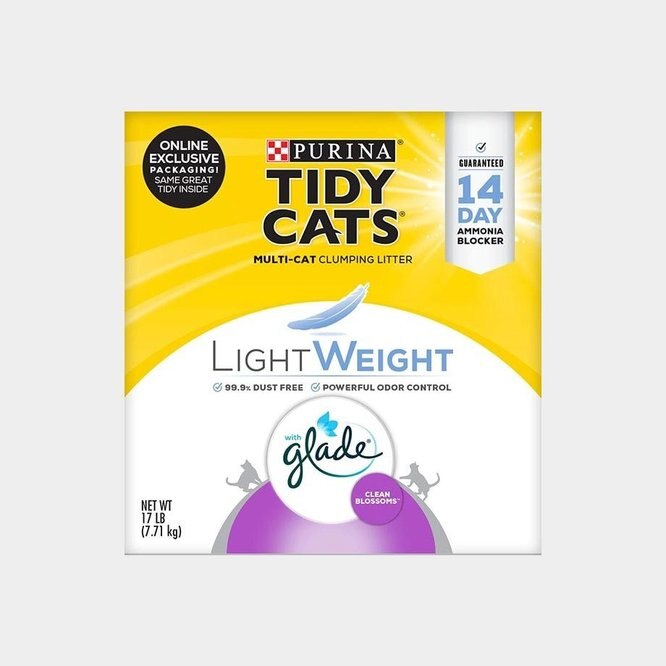 Tidy Cats: Cat Litter (Free Shipping) | Chewy