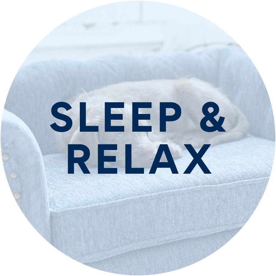 Chewy Home Collection - Free shipping | Chewy