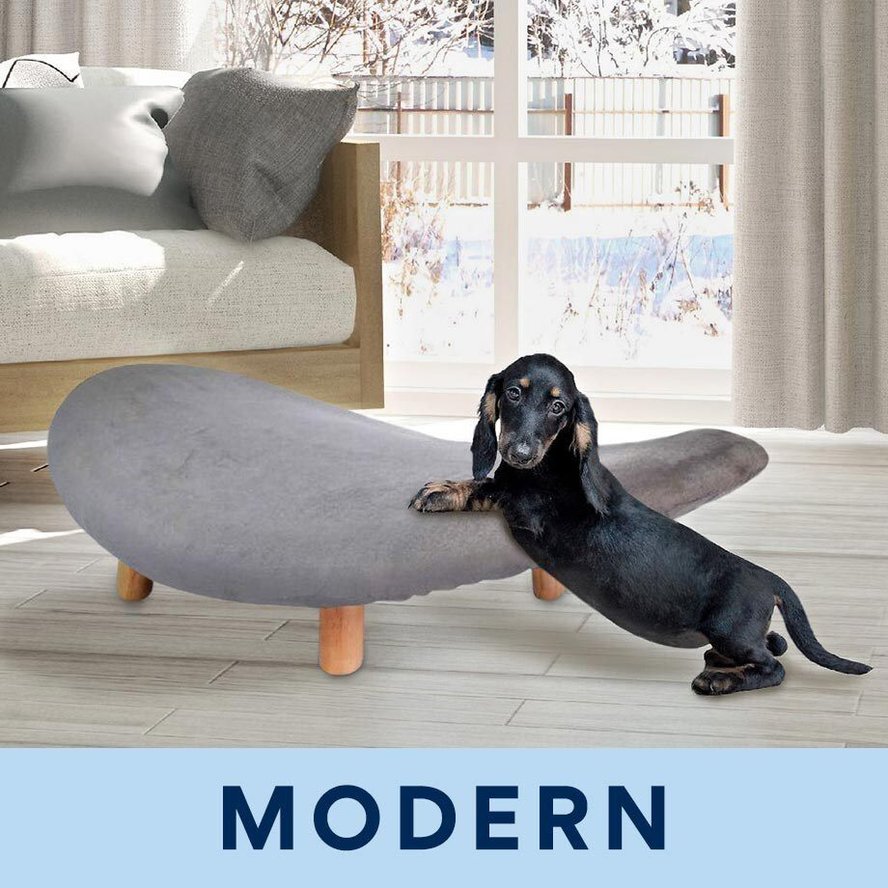 Chewy Home Collection - Free shipping | Chewy