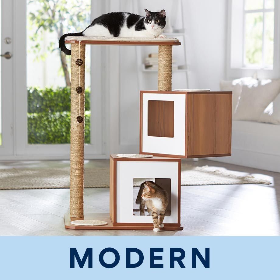 Chewy Home Collection - Free shipping | Chewy