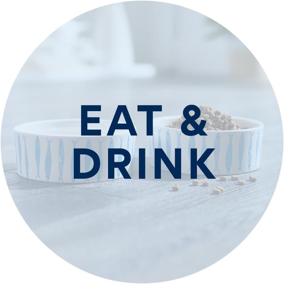 Chewy Home Collection - Free shipping | Chewy