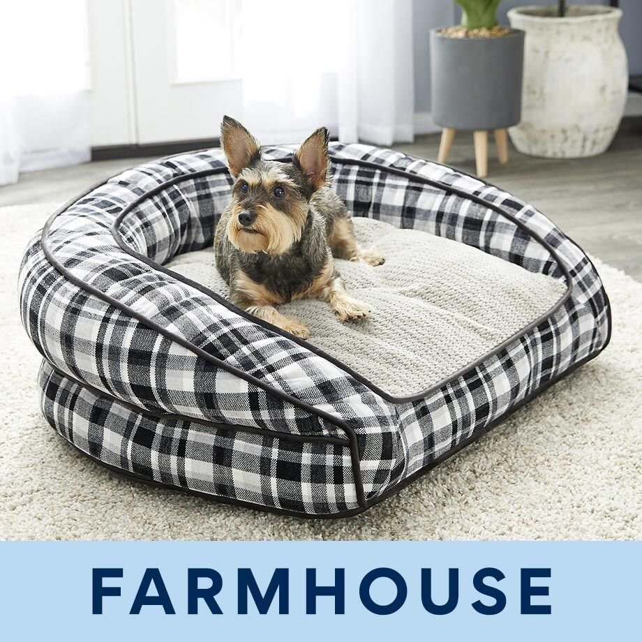 Chewy Home Collection - Free shipping | Chewy