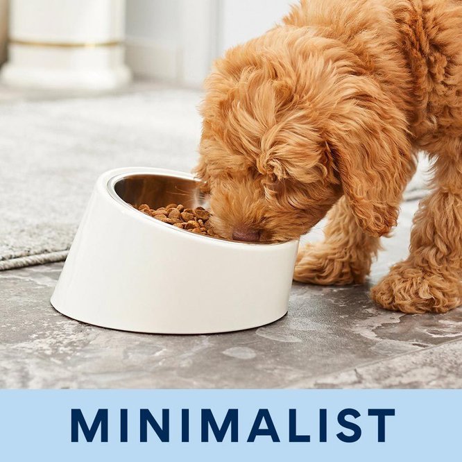 Chewy Home Collection - Free shipping | Chewy