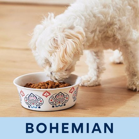 Chewy Home Collection - Free shipping | Chewy