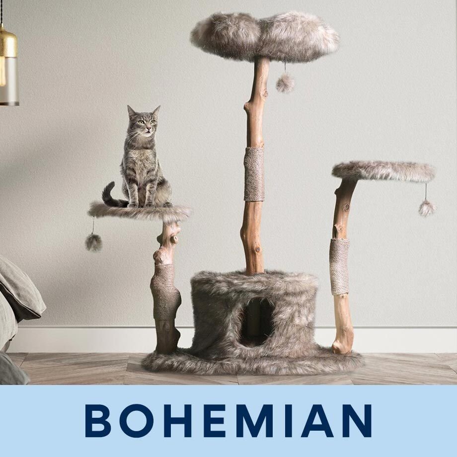 Chewy Home Collection - Free shipping | Chewy