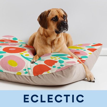 Chewy Home Collection - Free shipping | Chewy