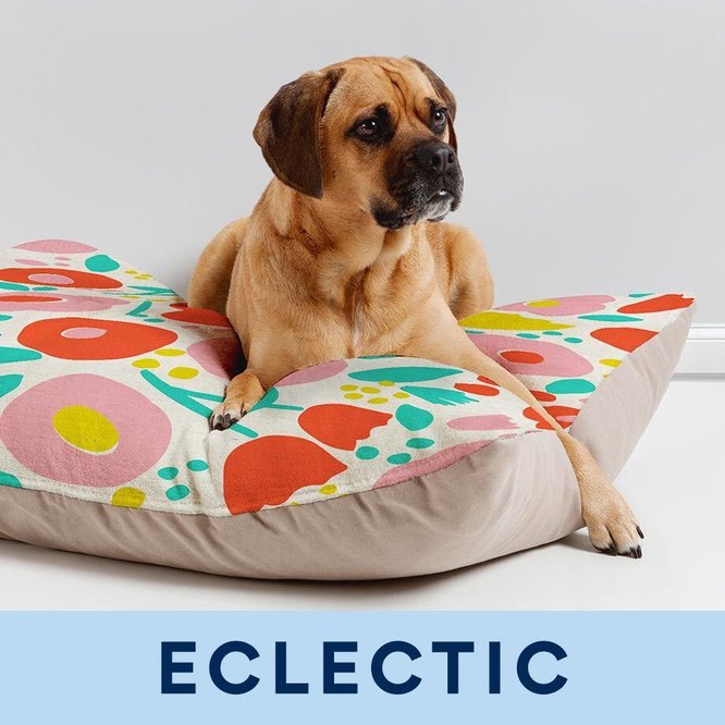 Chewy Home Collection - Free shipping | Chewy