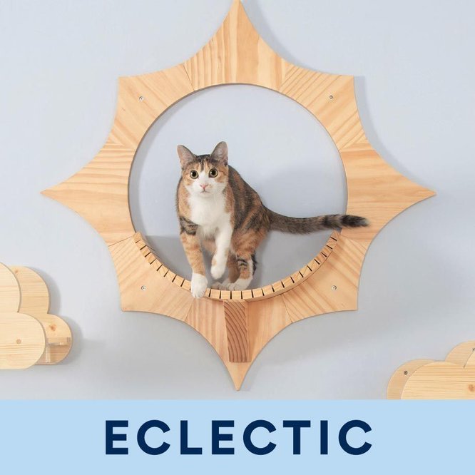 Chewy Home Collection - Free shipping | Chewy