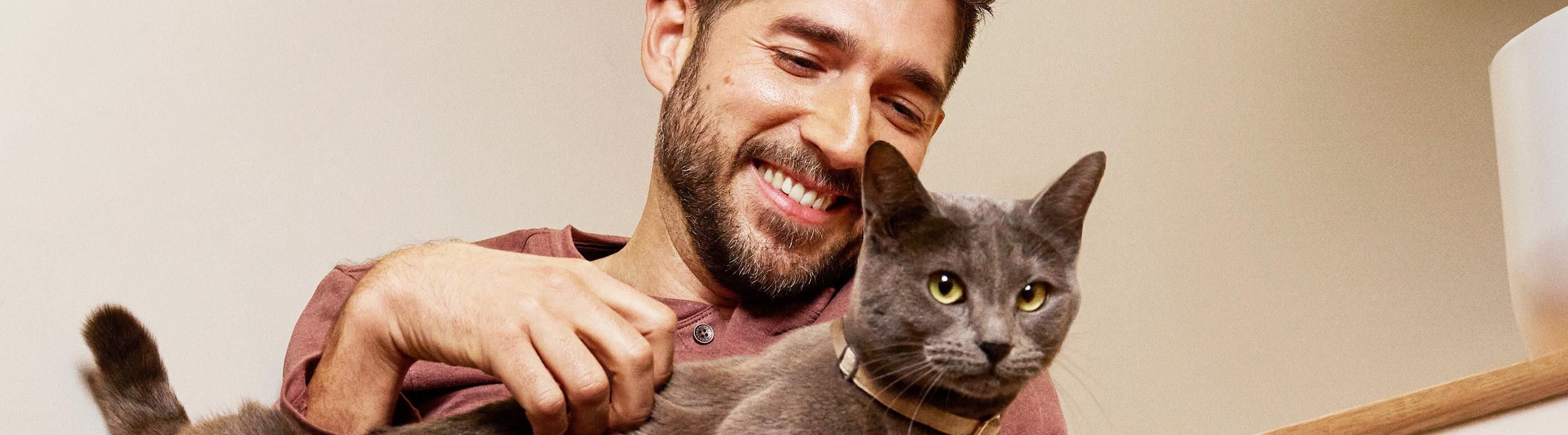 Merrick: Dog & Cat Food (Free Shipping) | Chewy