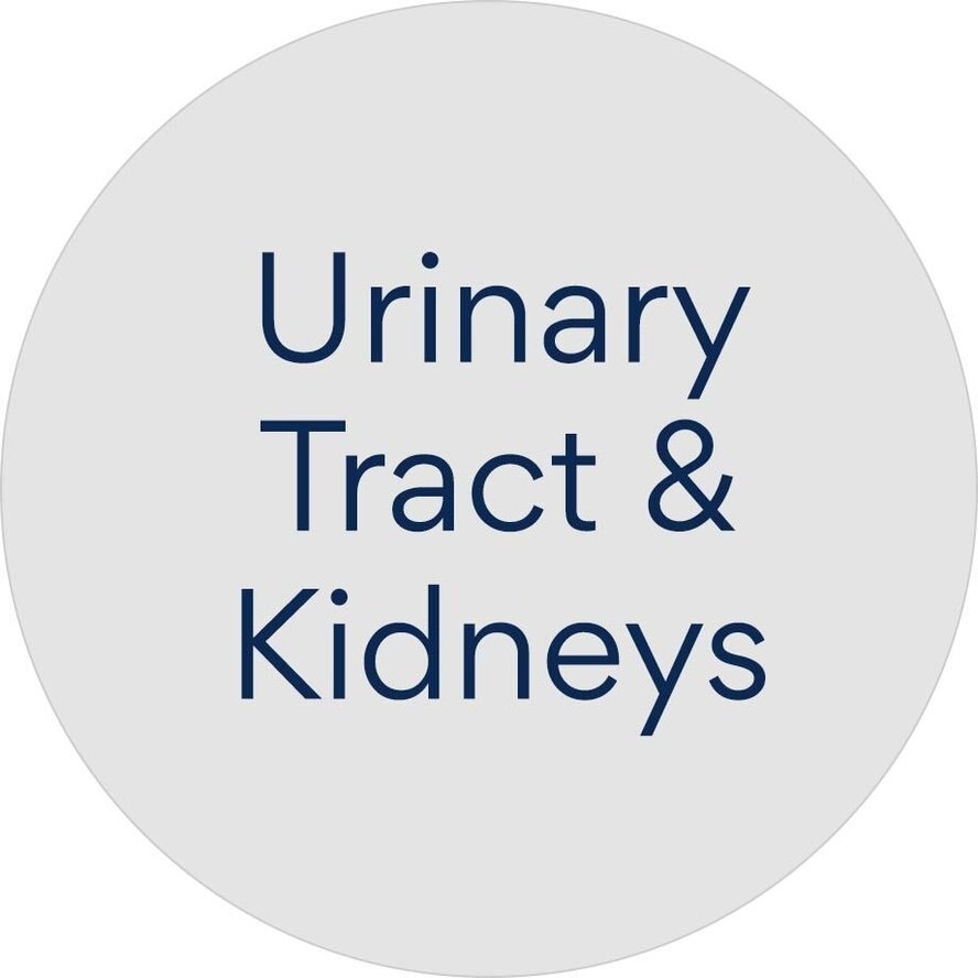 Cat Medicine: Prescription Cat Pharmacy Medication (Ships Free) | Chewy RX