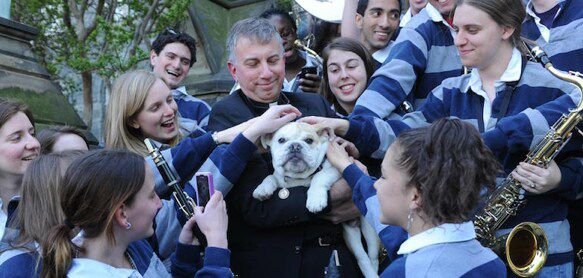 Accessibility Information (USA) | Chewy USA