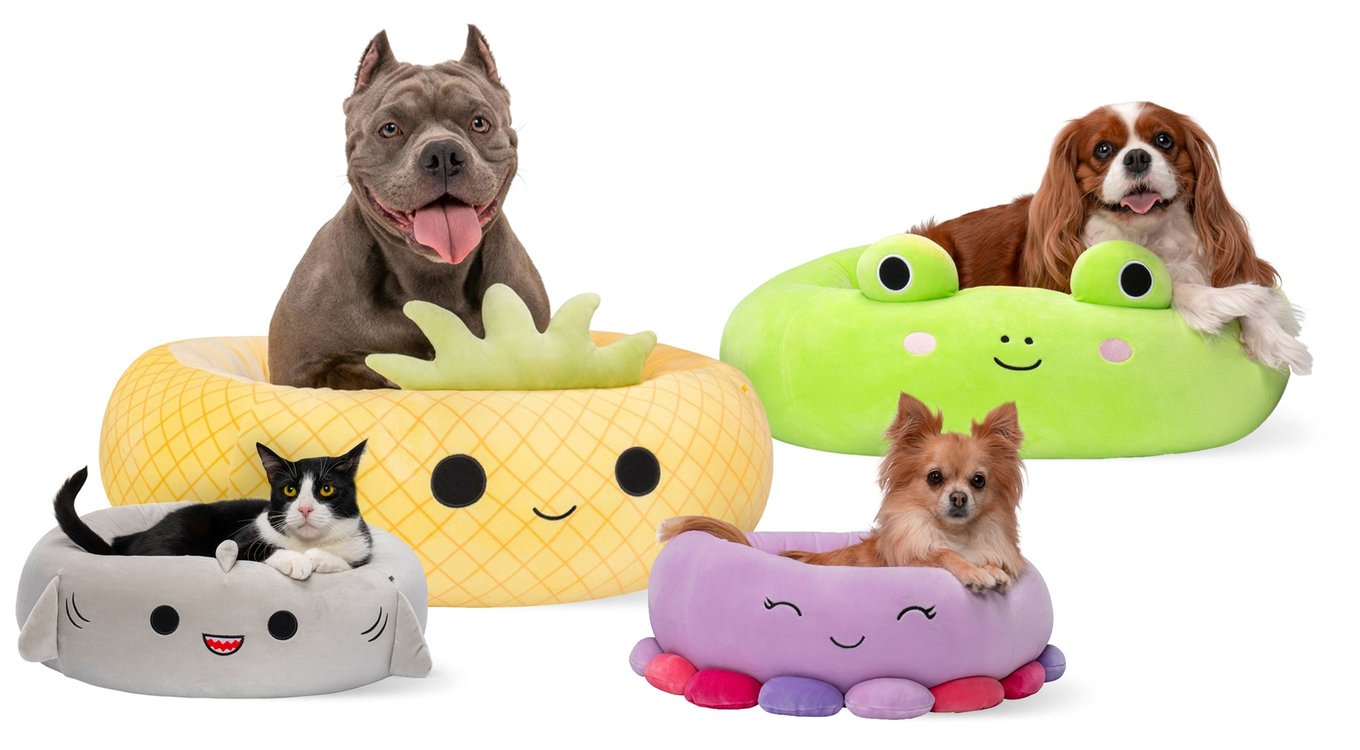 Out of Stock - SQUISHMALLOWS Wendy Frog Cat & Dog Bed, Green, Large ...